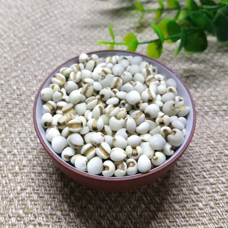 [USD 10.12] Fresh goods, barley, barley, barley, and barley, and the ...