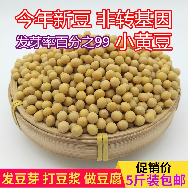 [USD 11.56] In 22 years, the new soybean farmer planted its own non-GMO ...