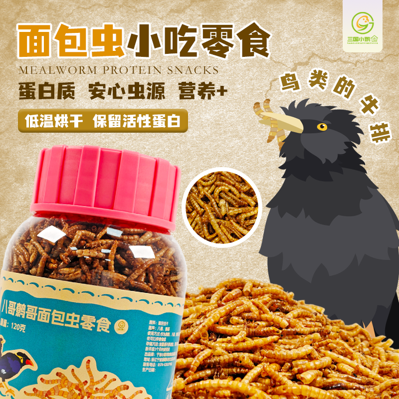 Mealworm snacks that my starling loves! the best reward for pets 🦜 🍗