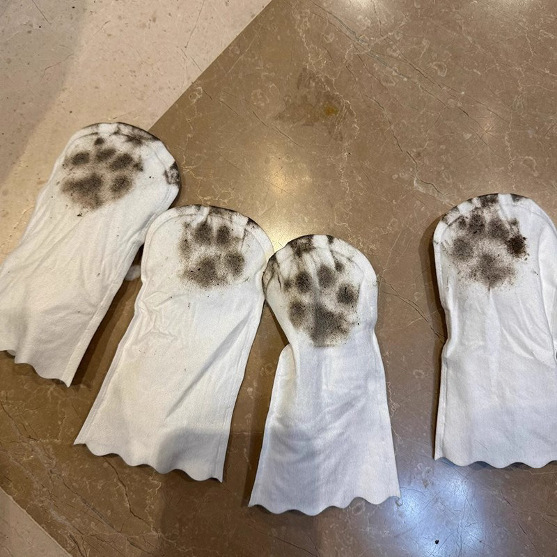 Dog foot covers, summer disposable shoe covers for outings, special ...