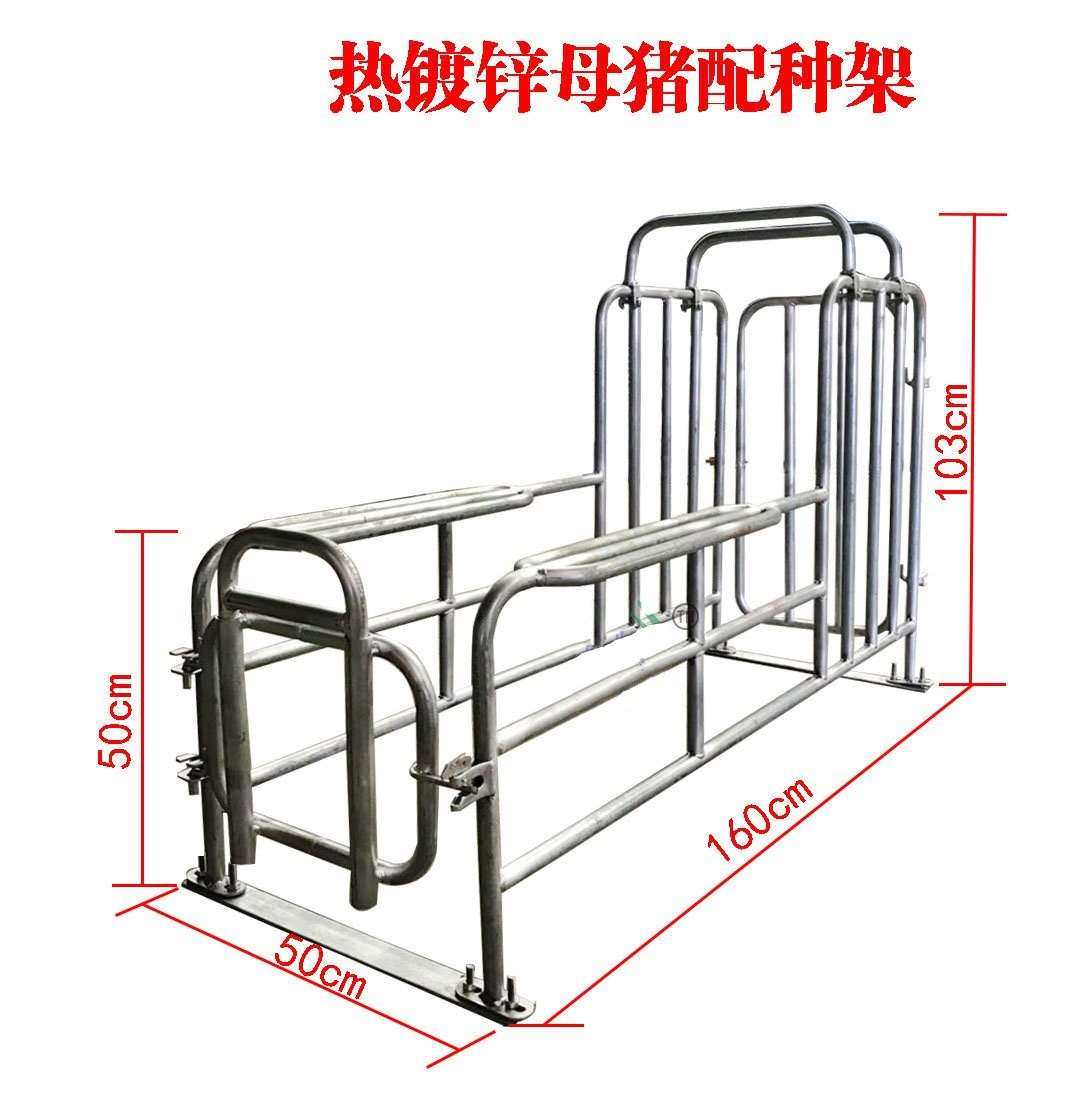 [USD 285.31] Sow Breeding Rack Full Heat Galvanized Pig Breeding Rack 6 ...