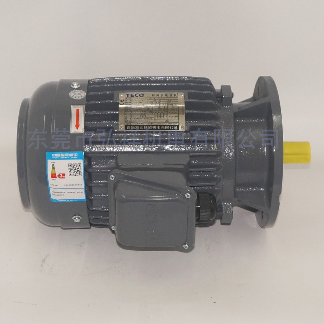 TECO TECO Motor 1 5KW 2HP vertical AEFF2N F3 TVGH90L brake brake motor ...