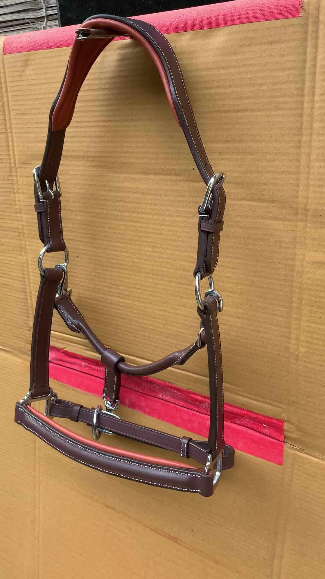 Anatomical Leather Horse Halter On High Quality Indian Leather With ...