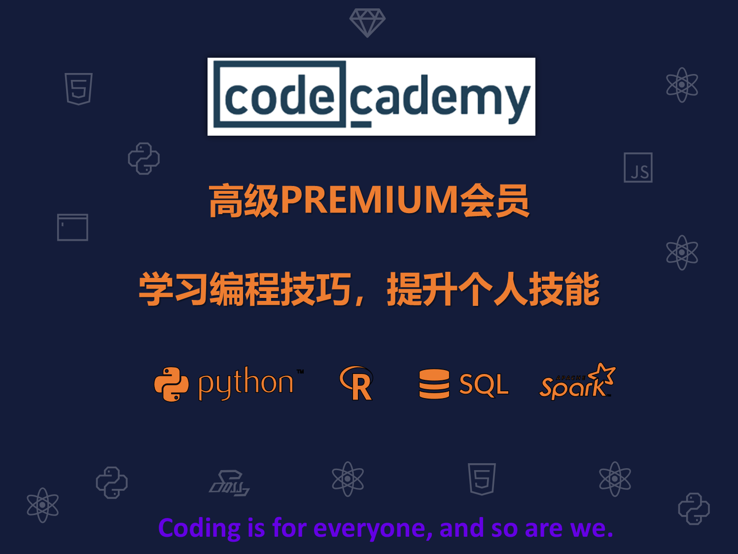 codecademy会员codecademy账号Python数据分析全栈前后端开发1月-Taobao