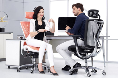 Ningbo Jin-Lan Paper Products Co., Ltd. - jigsaw puzzle, Ring Binder