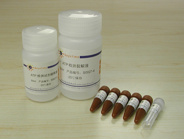 增强型ATP检测试剂盒 S0027 碧云天生物 Beyotime 科研试剂-Taobao