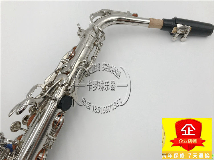 Caroline saxophone instrument E drop alto saxophone tube adult beginner ...