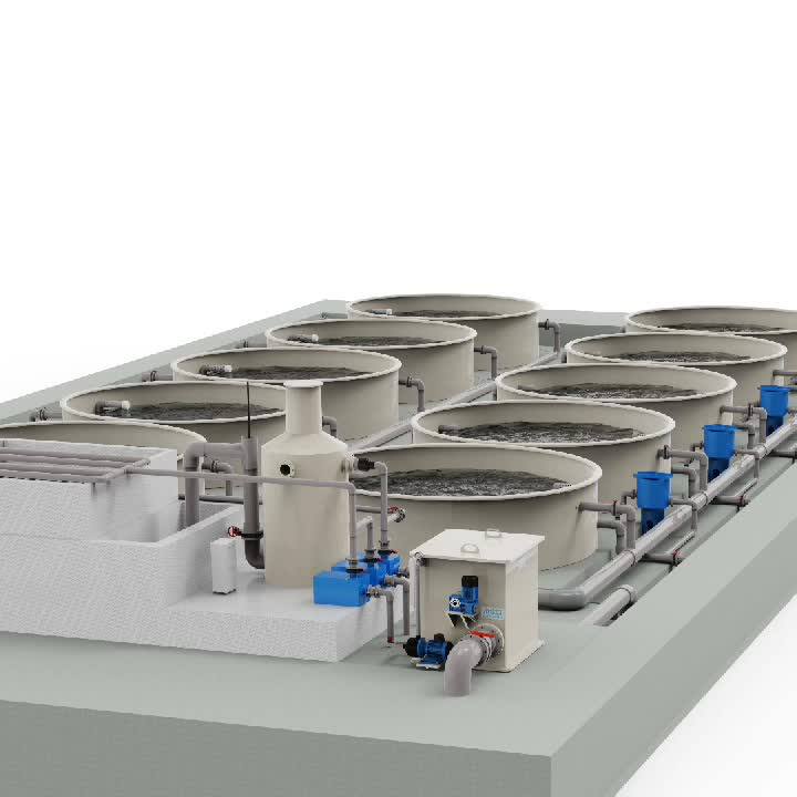 Ras Circulating Aquaculture System Drum Filter Solid Filter Rotary Drum ...