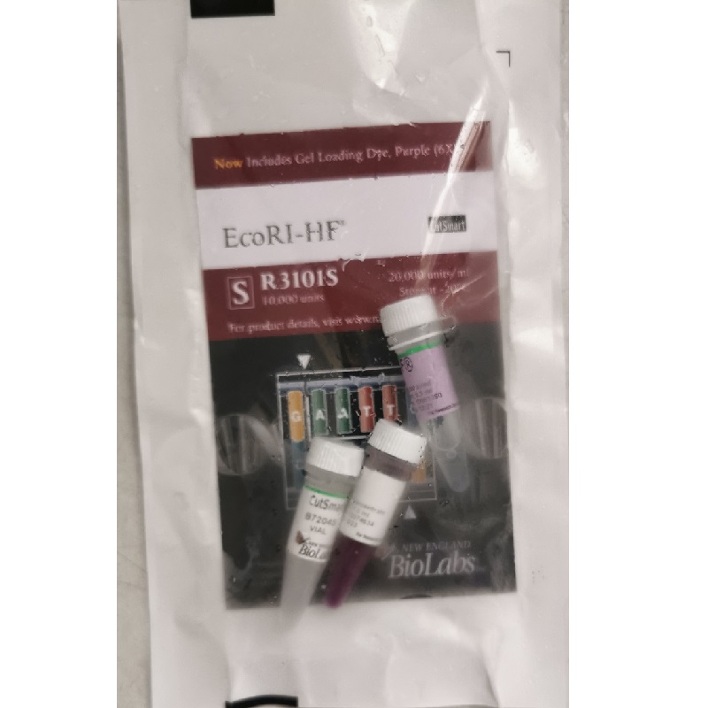 NEB EcoRI-HF内切酶，基因编辑的秘密武器🧐深度测评与选购指南-DNARNA-淘宝好物网