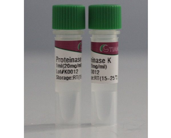 天根生化 蛋白酶K溶液20 mg/ml Proteinase K RT403-02