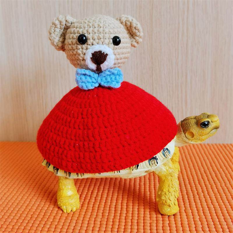Customized turtle clothes: let your pet turtle become the cutest ...