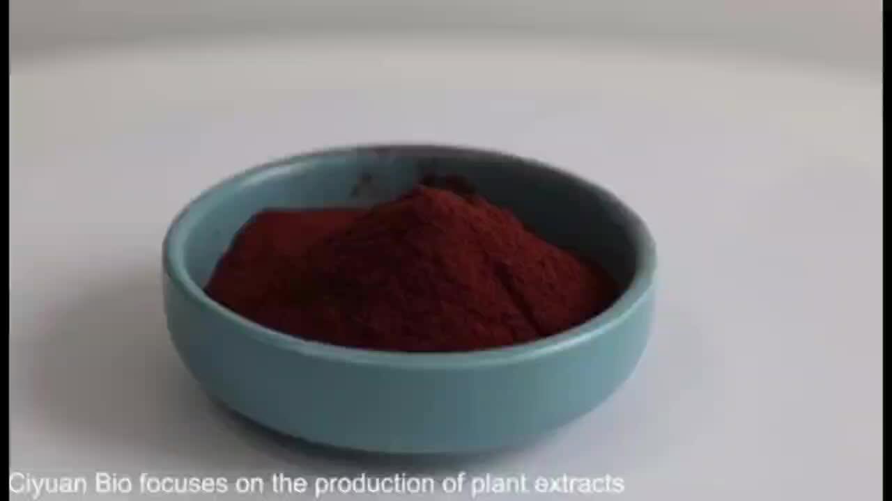 Factory Supplier Direct Saffron Extract Powder Crocus Sativus L ...