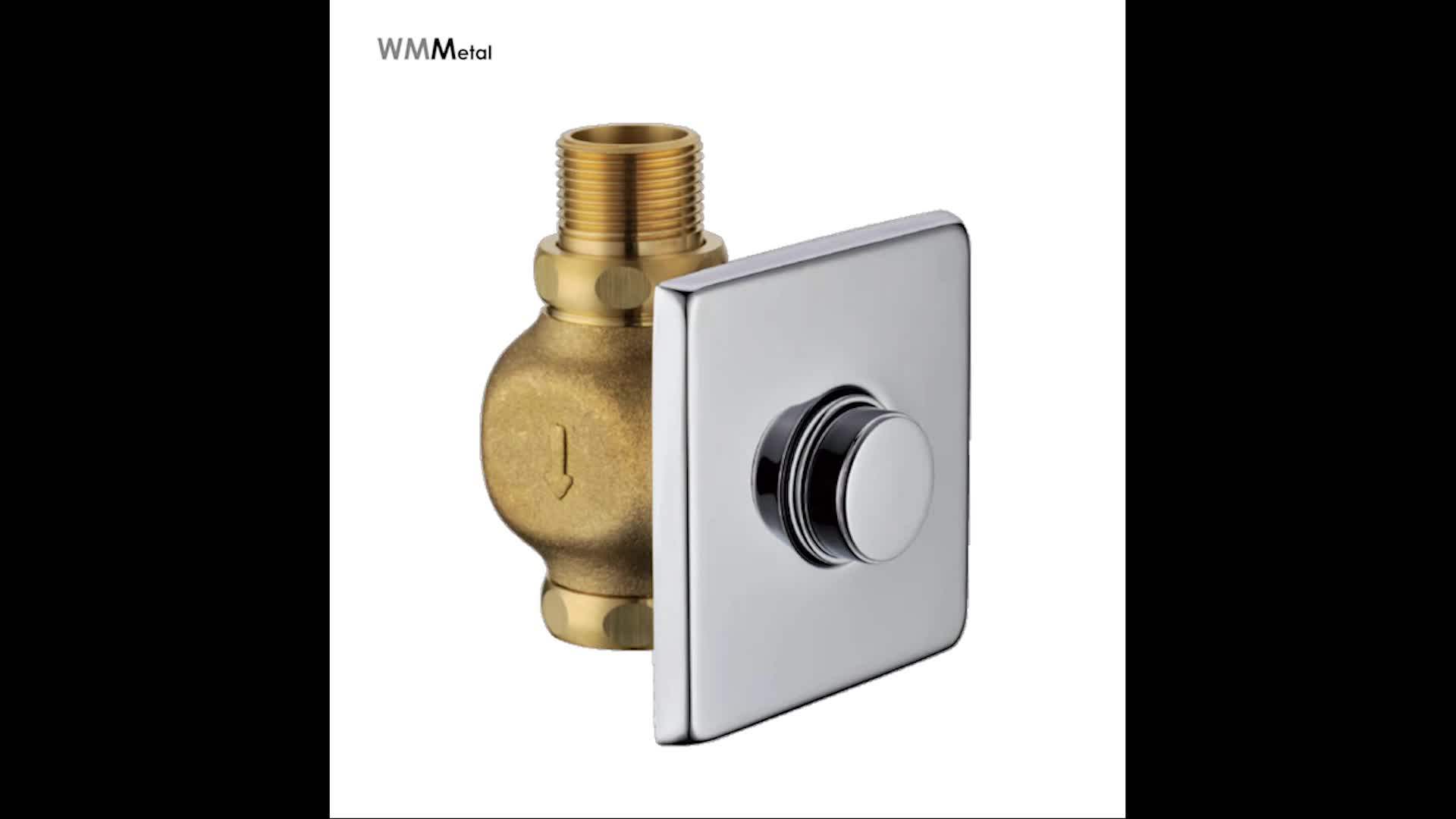 Push Button Concealed Time Delay Flush Valve For Toilet Full Brass ...