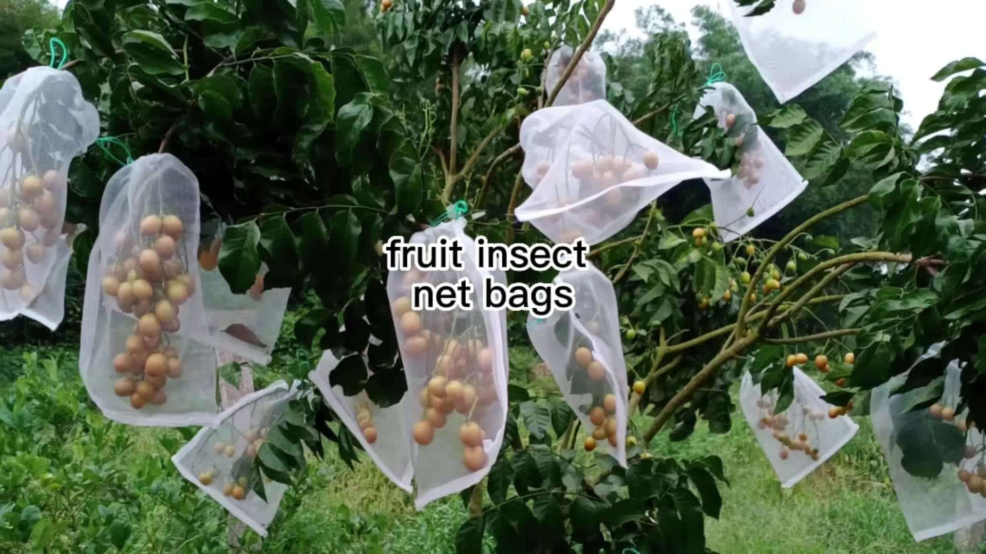 Uv Stable Reusable Fruit Fly Screen Netting/reusable Anti Insect Mesh ...