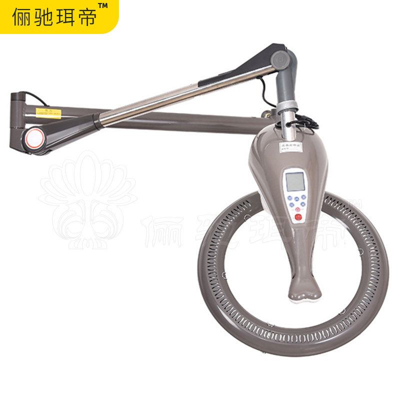 [USD 91.73] Hair Heater Hair Dryer Mechanism Dolphin Wall Hanging Hair ...