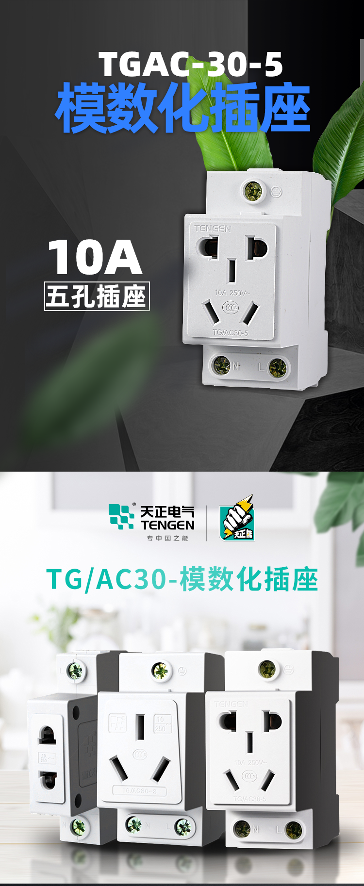 天正TG/AC30-5孔10A模数化插座二三插单相配电箱导轨式电源插座-阿里巴巴