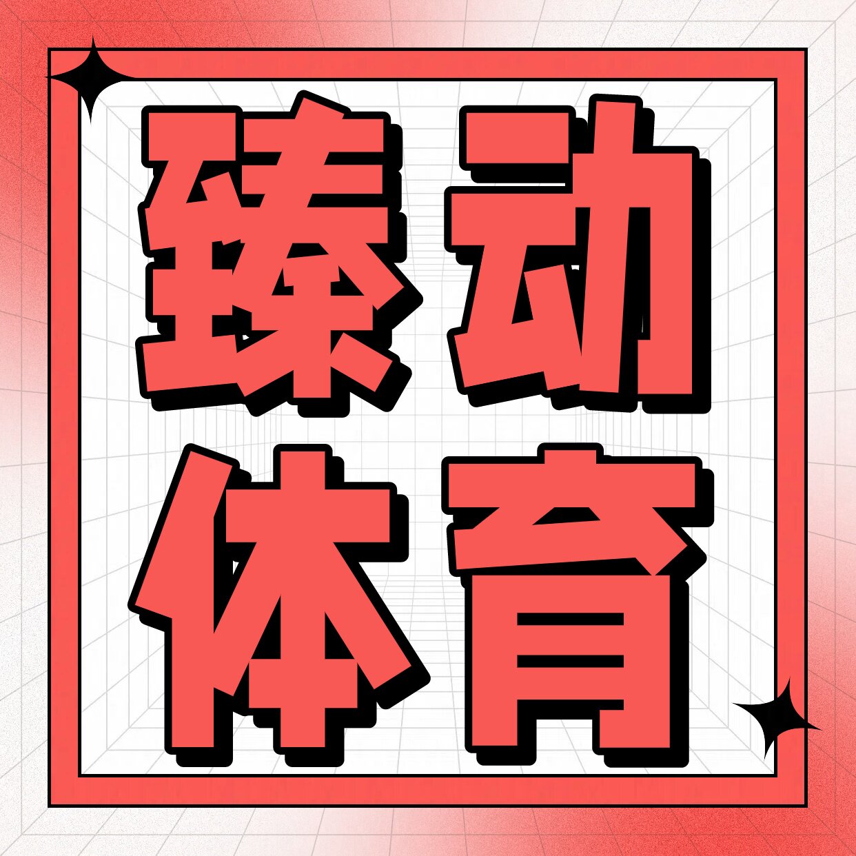 臻动乒乓体育用品