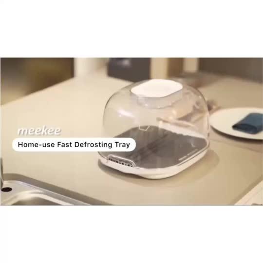 2022 Portable Thawingmachine Meat Defroster - Buy Quick Thaw Defrost ...