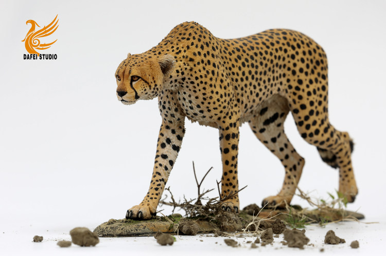 (Big Flying GK Studio)-Animal Model "African Cheetah in Big Cat ...