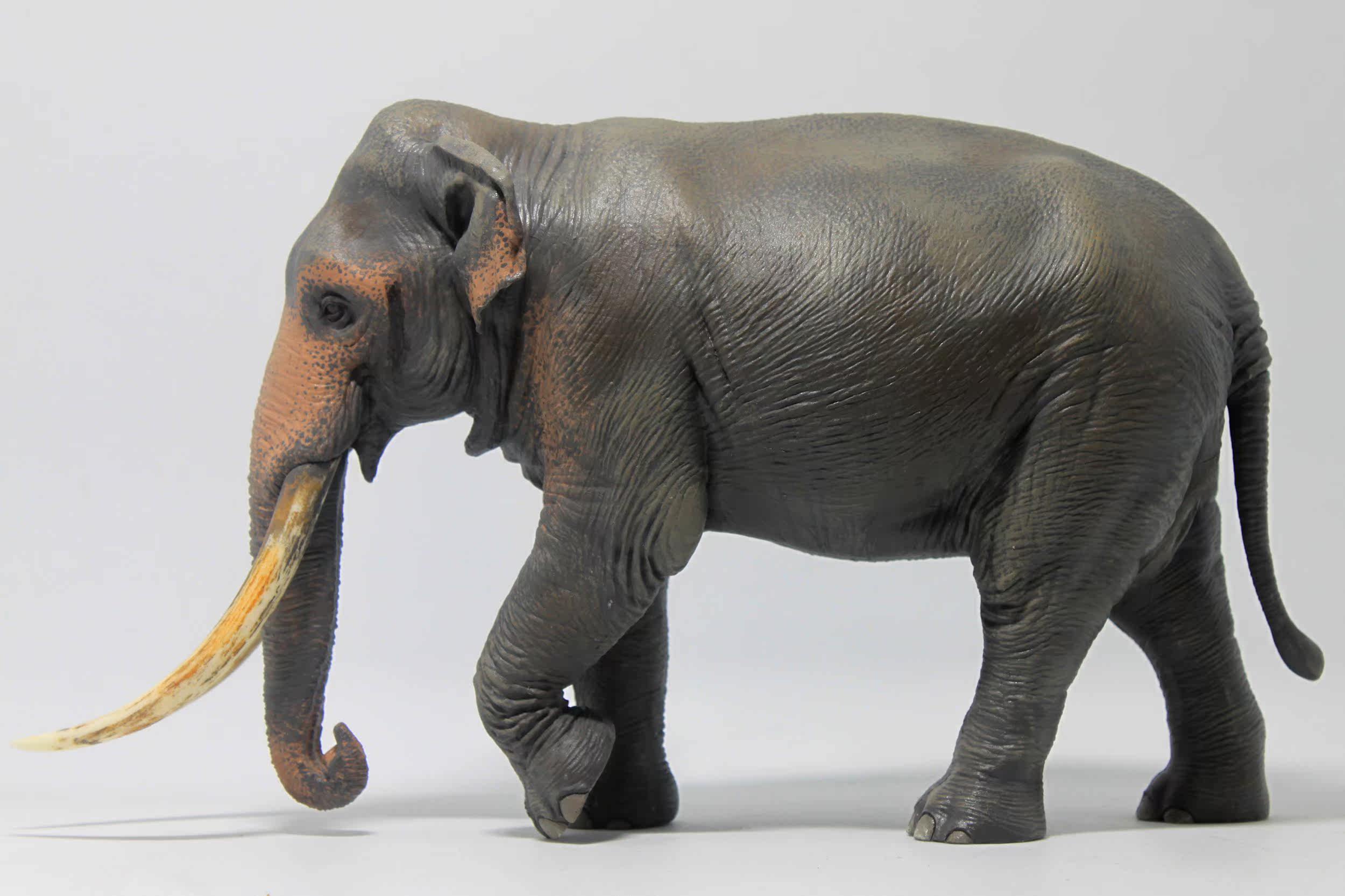 (Dafei GK Studio) Famous Asian elephant-Lin Wang model hand-made