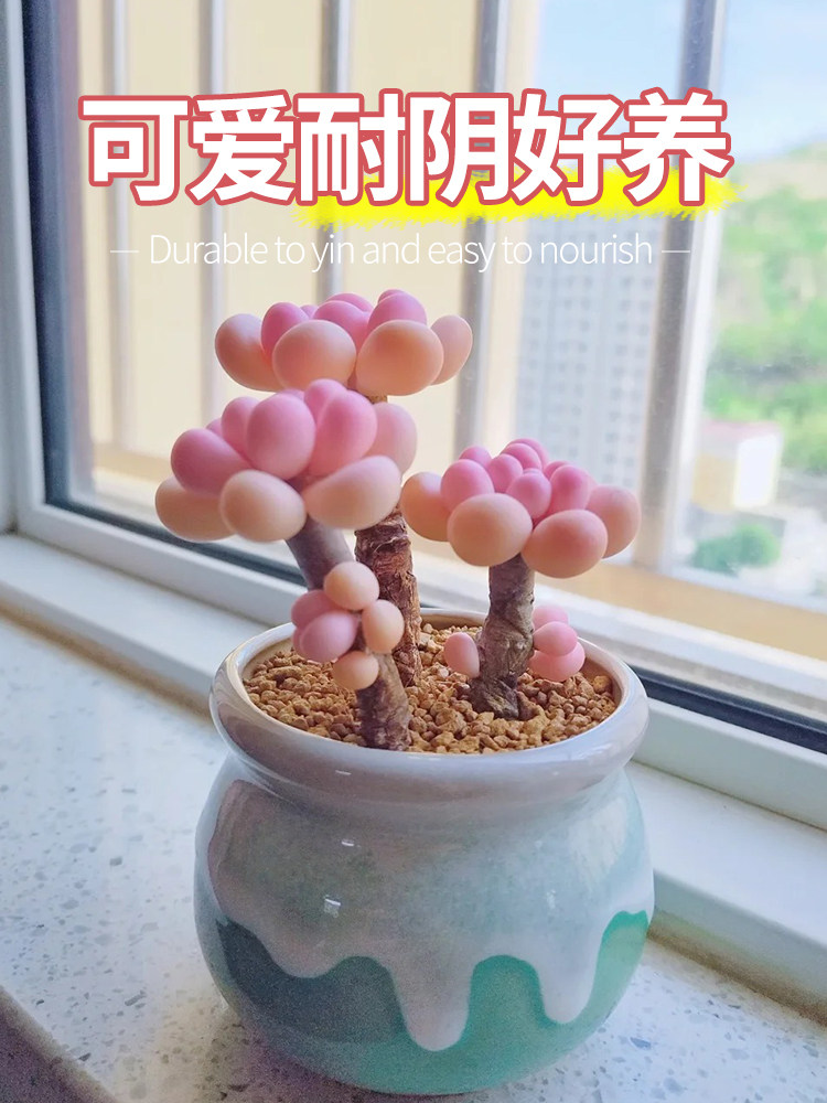 淘宝开店卖货，一个月到底要花多少钱呢？💰-淘宝怎么开店-淘宝百科网