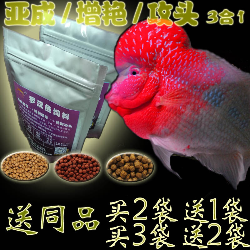 Lohan fish starting fish feed Lohan fish feed increasing head to attack ...