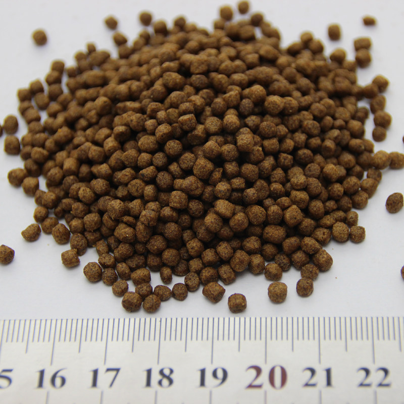 Lohan fish starting fish feed Lohan fish feed increasing head to attack ...