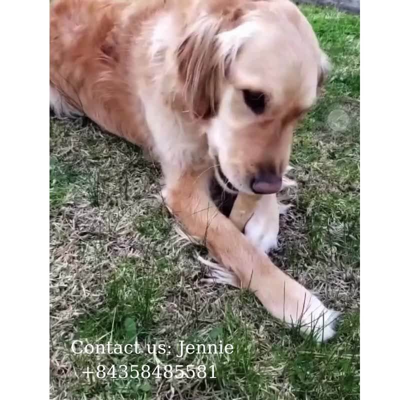 Best Choice For Your Pets - Gorilla Chew - Wood Coffee Chew Toy For ...