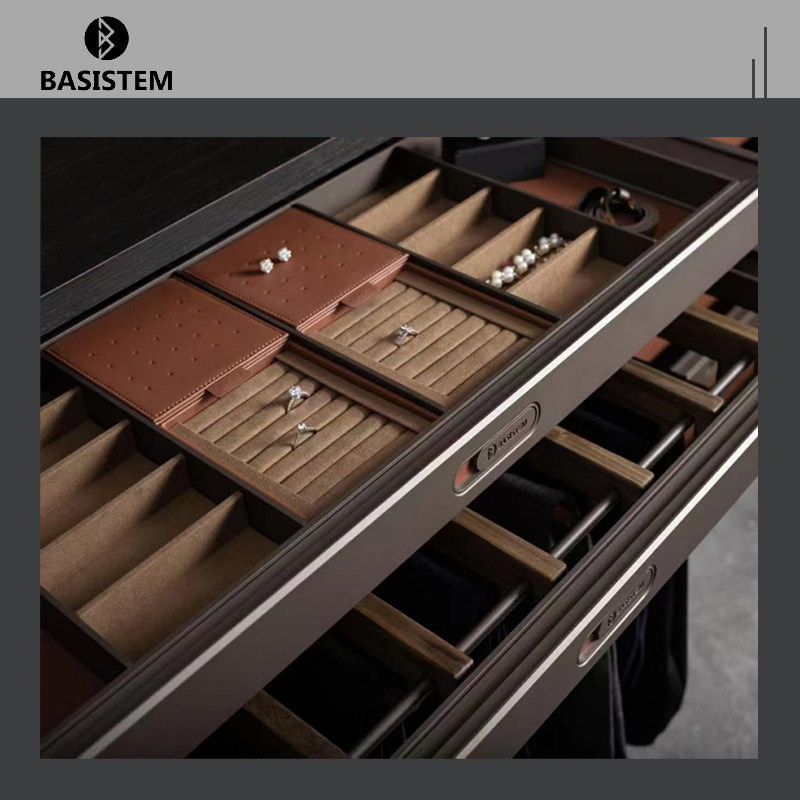 瑞士BASISTEM衣柜收纳系统 高柜升降衣架胡桃木裤架 衣帽间智能收纳解决方案