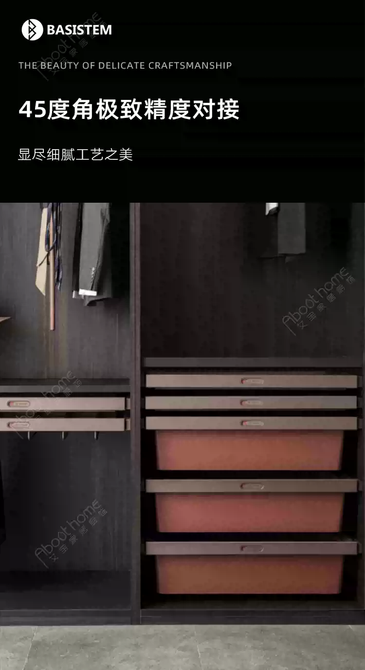 瑞士BASISTEM衣柜收纳系统 高柜升降衣架胡桃木裤架 衣帽间智能收纳解决方案