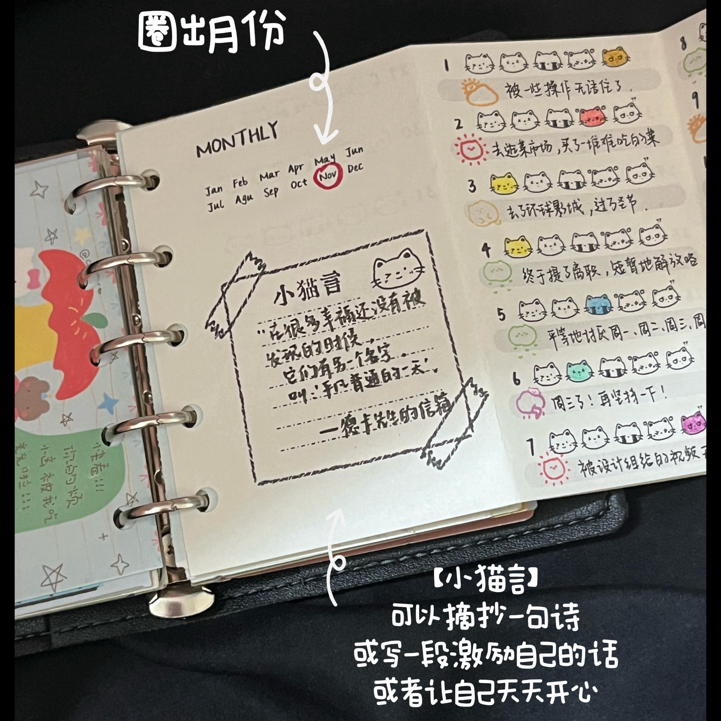 这款M5/A7活页手帐，凭什么让打卡党疯狂种草？-活页替芯-淘宝百科网