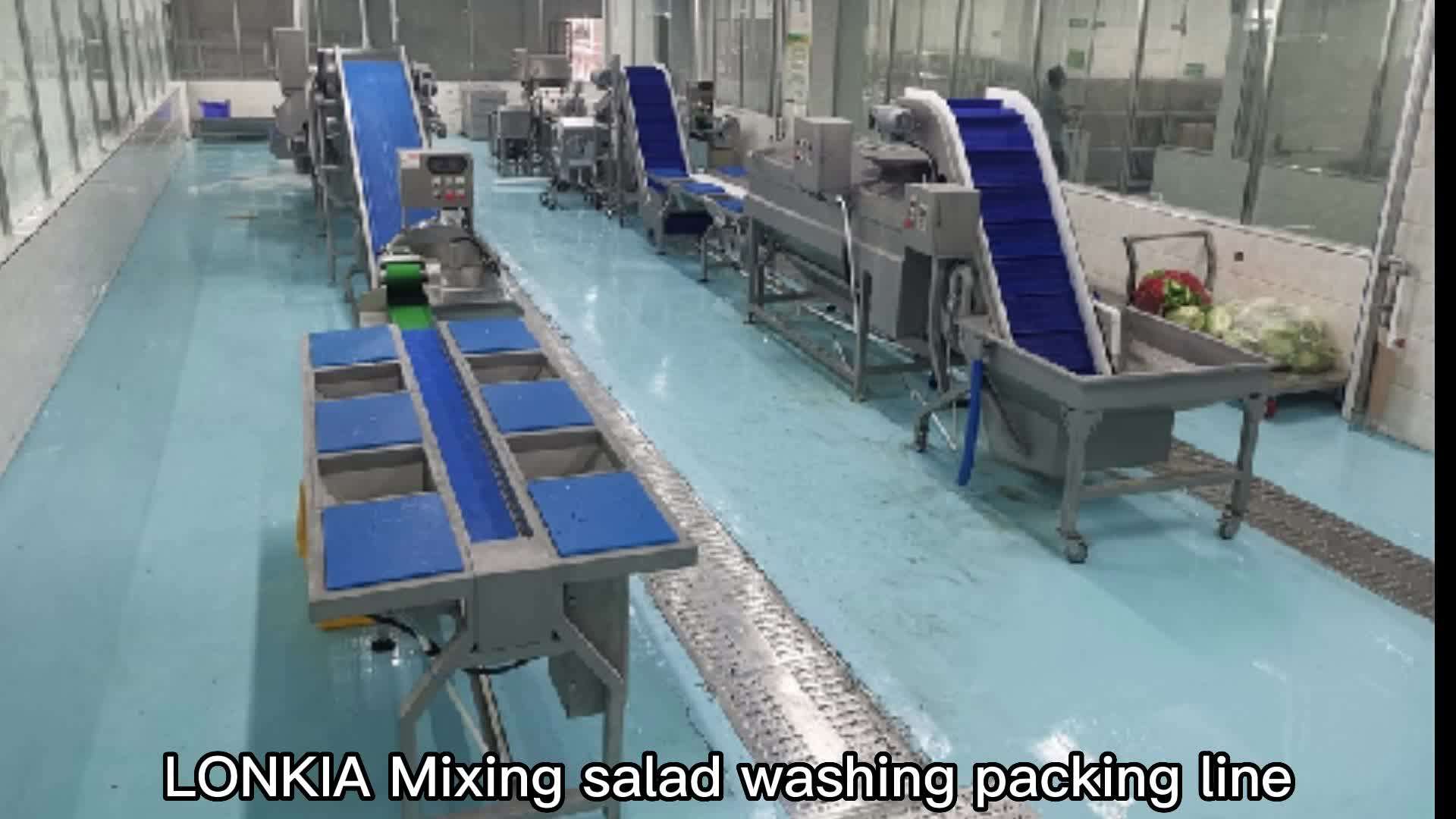Lonkia Industrial Sugar Beet Processing Line Lettuce Vegetables Salad Washing Line Vegetable ...