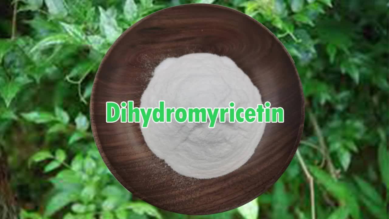 Natural Water Soluble 98% Dihydromyricetin Powder Dihydromyricetin- Dhm ...