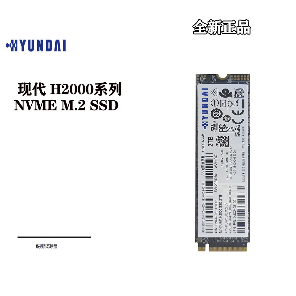 HYUNDAI现代 H2000固态硬盘SSD M.2 128G 256G 512G PCIE/NVME3.0