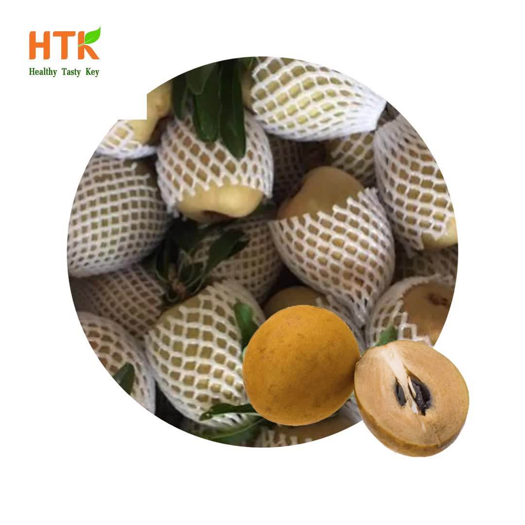 2022 Fresh Sapota Sapodilla Chikoo Chiku Made In Vietnam 100% Natural ...
