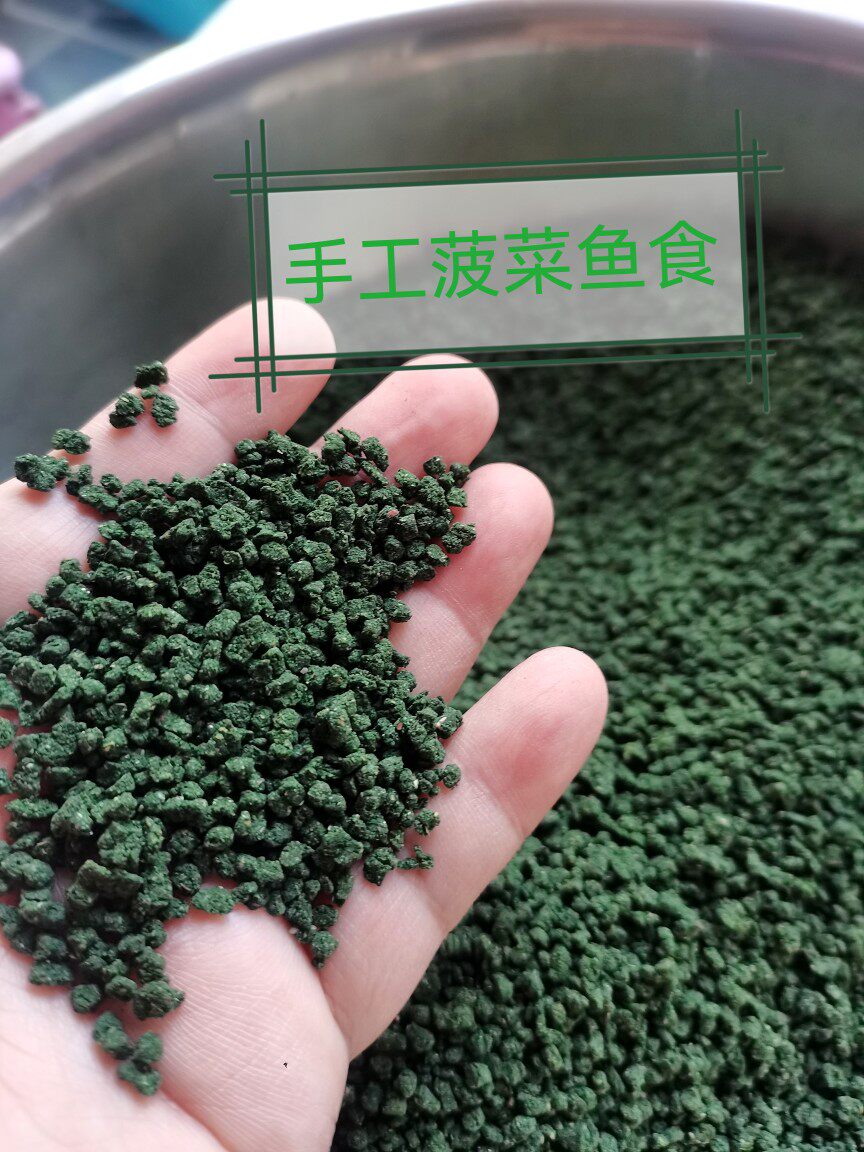 Special-shaped rat fish eating spinach crystal shrimp food? the golden ...