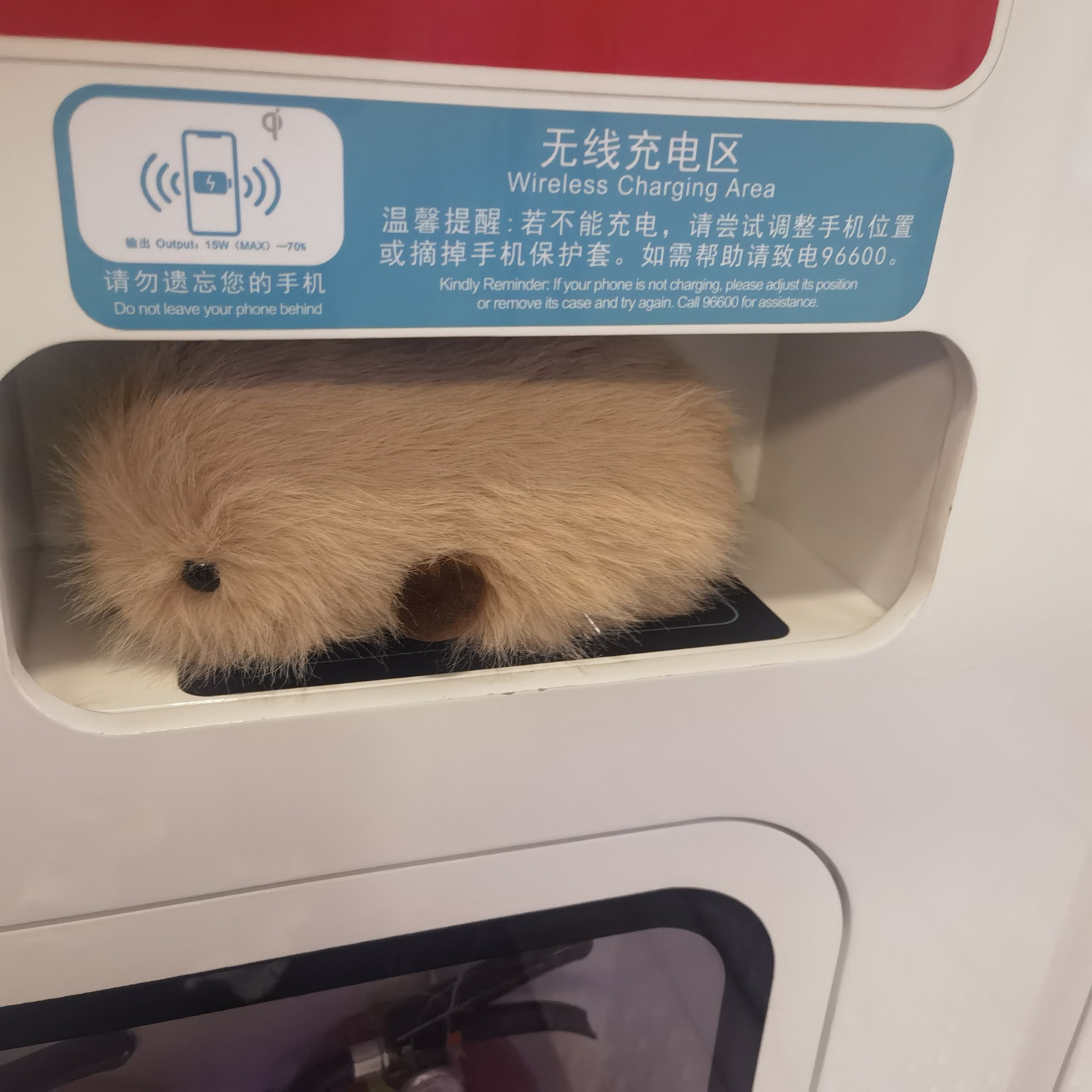 Cupboo咘咘智能宠物机器人AI毛绒机器宠物幼兽陪伴机器人生日礼物评价 - 淘宝网