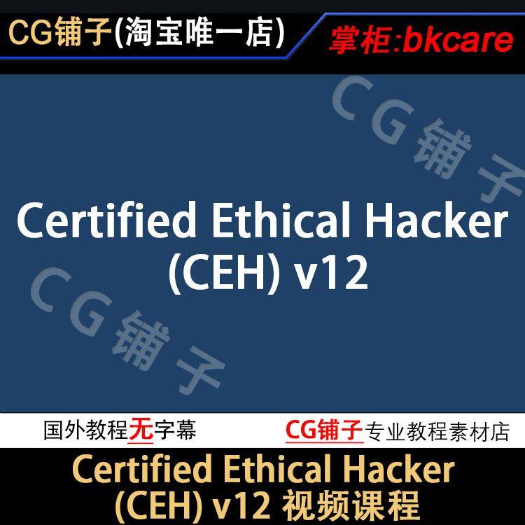 Certified Ethical Hacker CEH v12 影片附素材