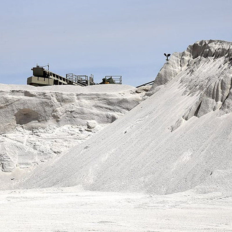 ChillDust美国进口白云浴沙：赛级龙猫火山灰浴沙，让你家龙猫变身“雪中精灵”！ ️🐾-浴沙-淘宝好物网