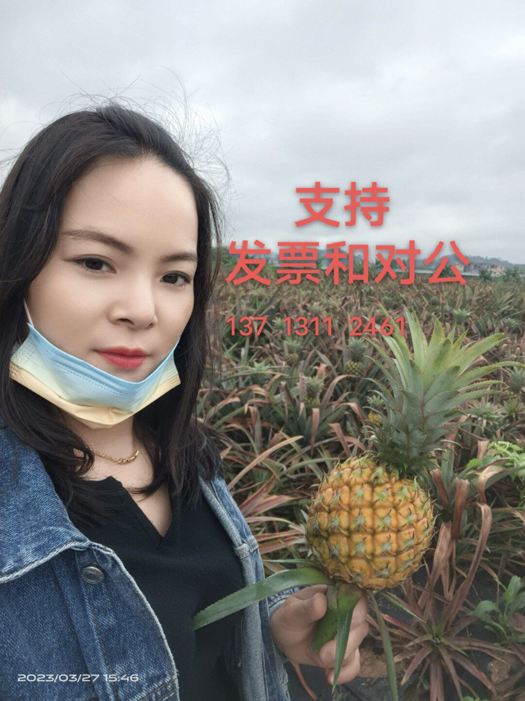 耀记神湾菠萝