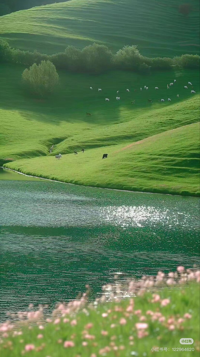 海边的你