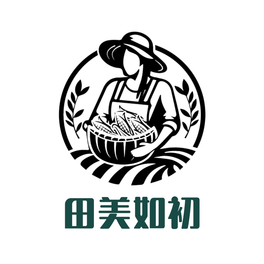 田美如初食品官方店