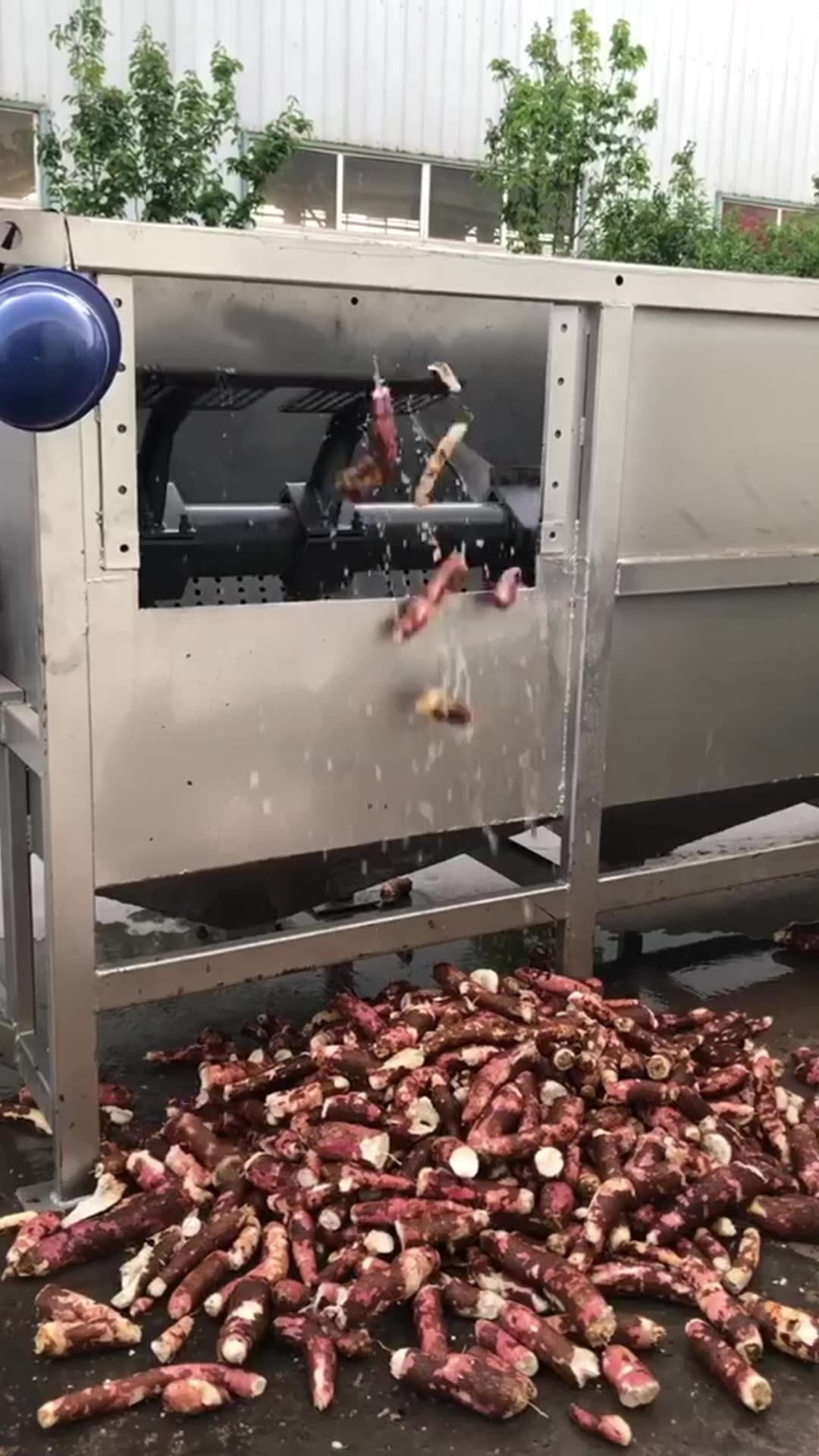 Single Cassava Peocessing Machine Paddle Washer Cassava Cleaning ...