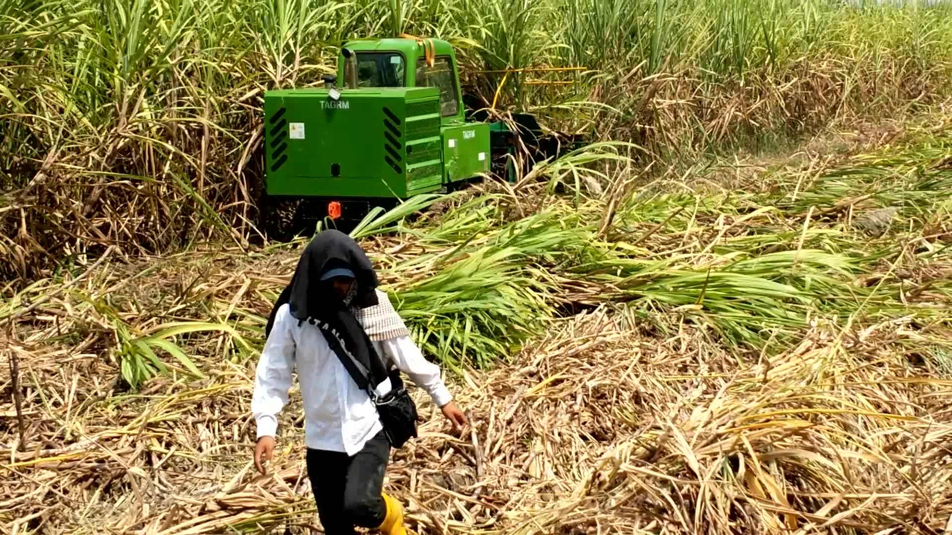 New Design Self-propelled Mini Sugar Cane Cutter Machine / Cane Cutting ...