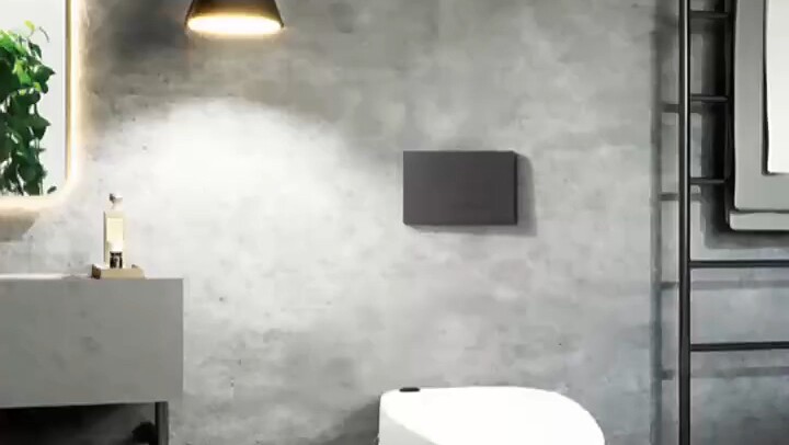 Wall Hung Toilet Water Tank Oval Dual Button Mounted Concealed Cistern ...