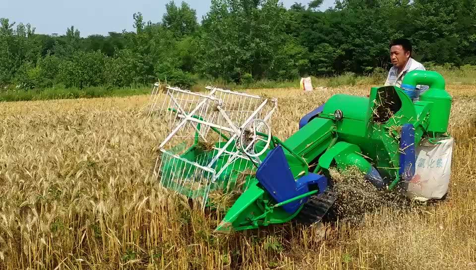 Arroz Cosechadora Segador Filipinas Mini Combinar Trigo Cortador De ...