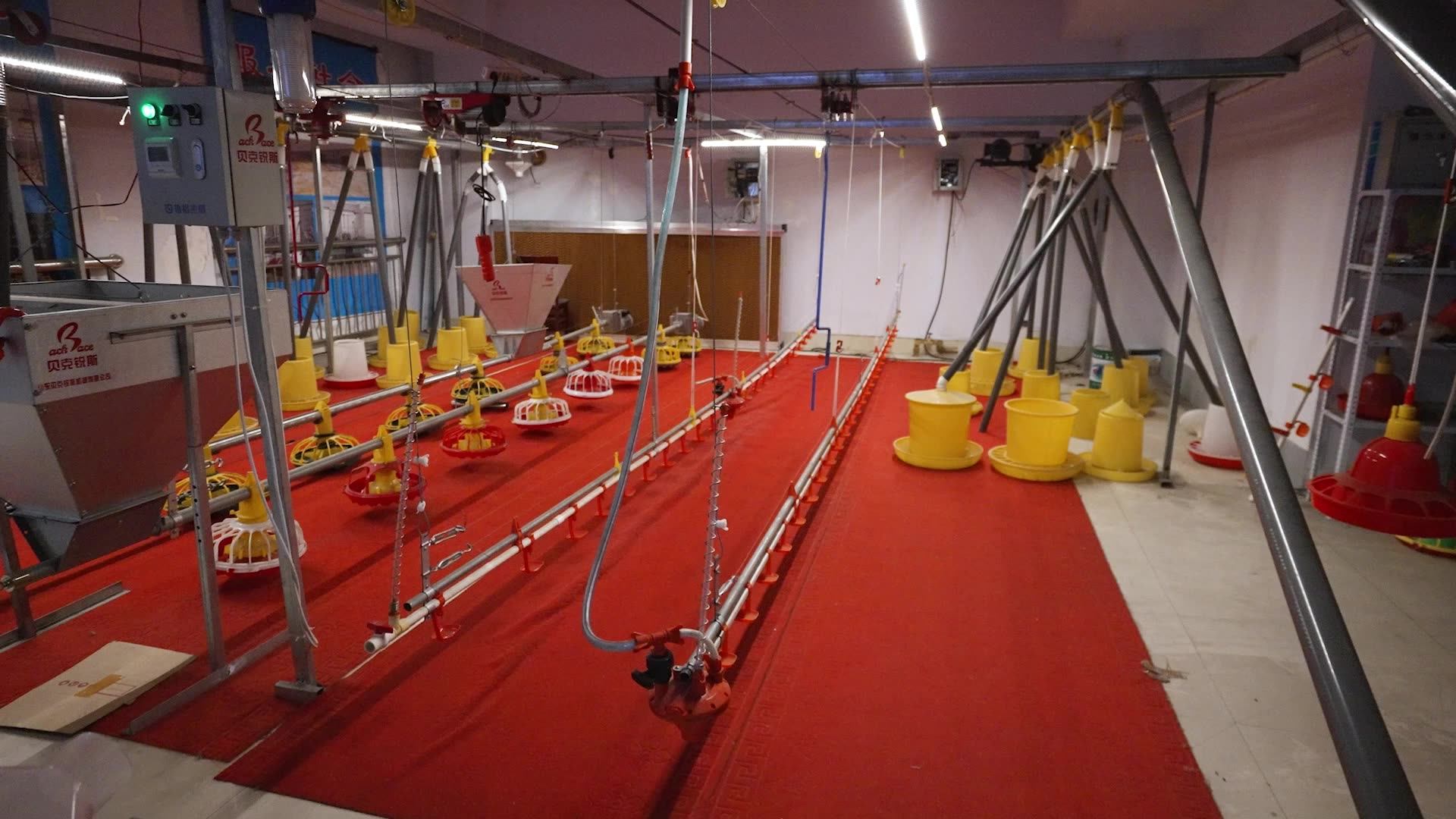 Fpcontrol Feeding Dosing Mixing Chicken Feeder/ Pan Automatic Poultry ...