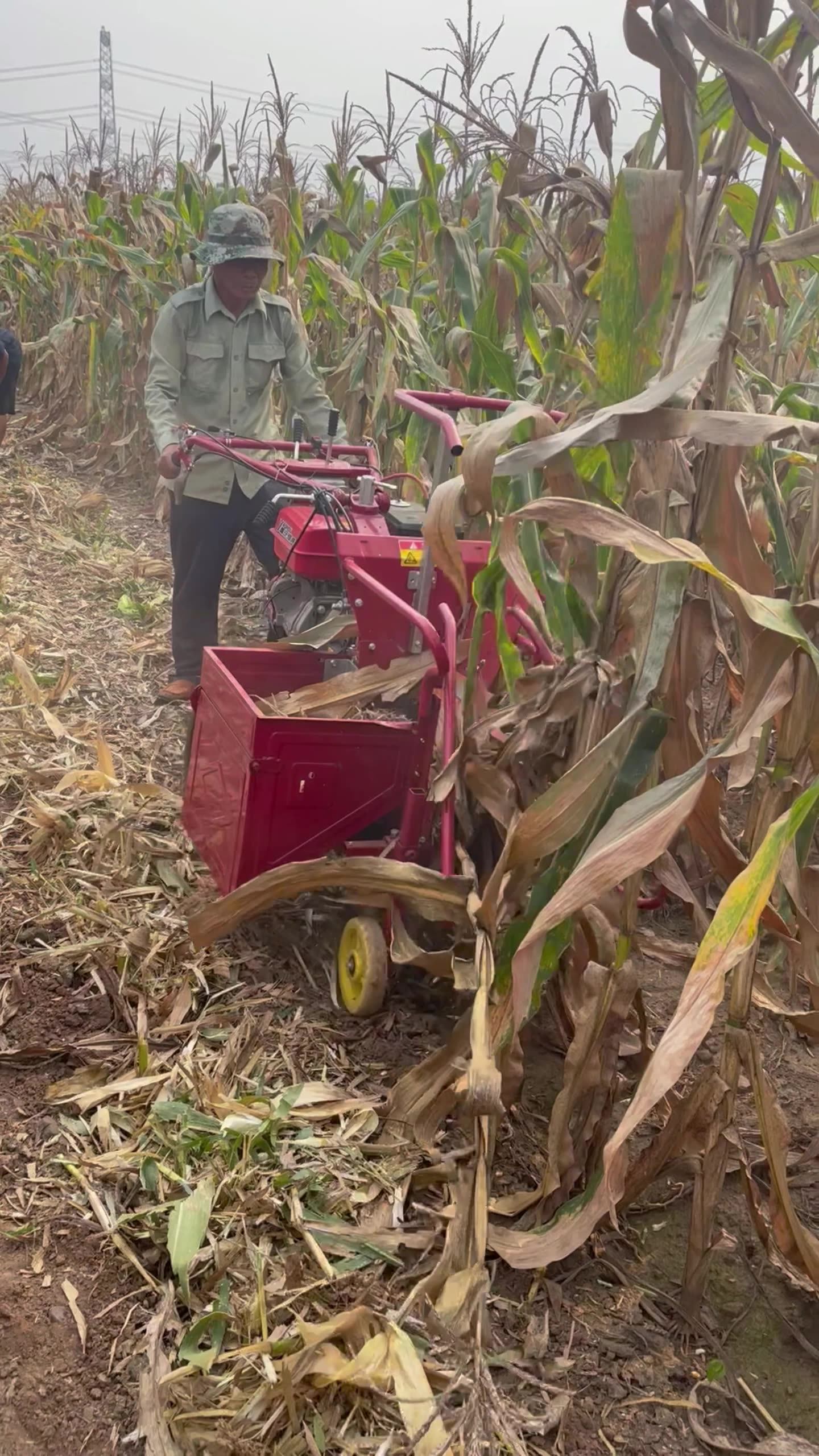 3 In 1 Diesel And Gasoline Mini Corn Harvester Machine Small Combine ...