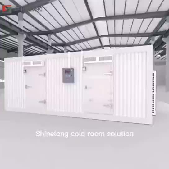 10cbm Walk In Cold Room Storage Chiller For Vegetables And Meat - Buy ...