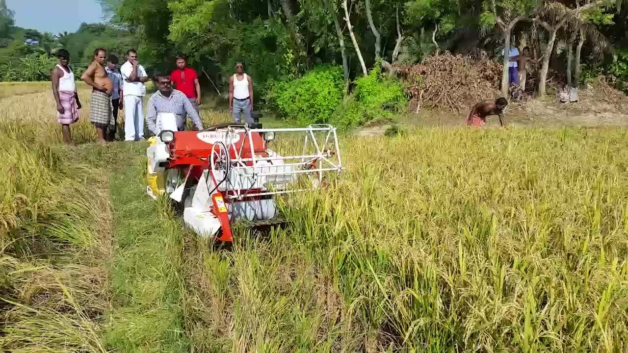 Rice Wheat Barley Oats Small Combine Harvester 4l-0.9b Harvesting ...